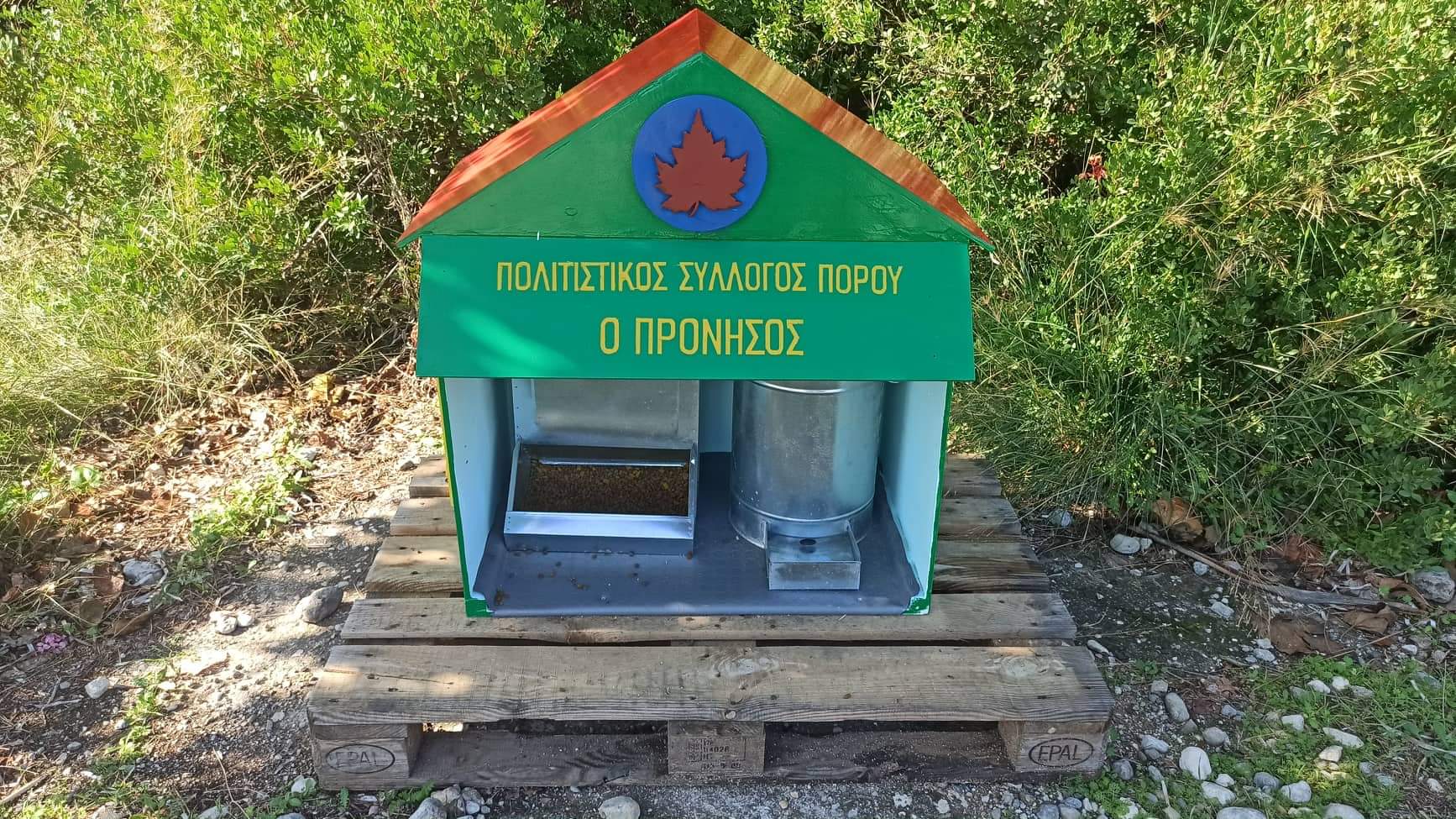 Ο Σύλλογος "Πρόνησος" φροντίζει τώρα τις αδέσποτες γάτες του Πόρου ...