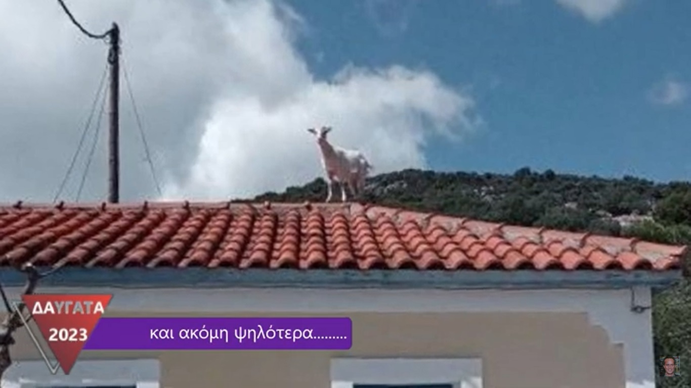 Τα γίδια άλωσαν τα Δαυγάτα! (video) - Kefalonia Status