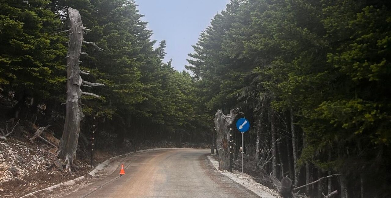 Απαγόρευση κυκλοφορίας οχημάτων και εκδρομέων στον Εθνικό Δρυμό Αίνου ...